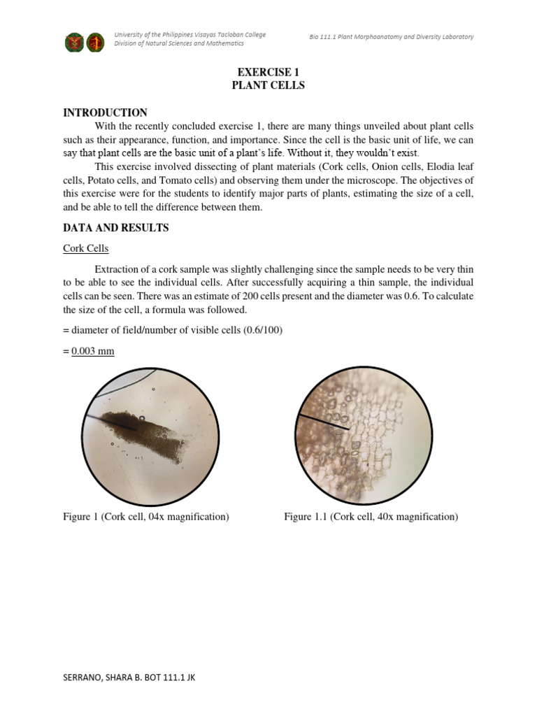 Ex1 Lab Report Serrano | Download Free PDF | Chloroplast | Histology