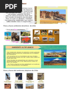 Flora y Fauna Queretaro | PDF