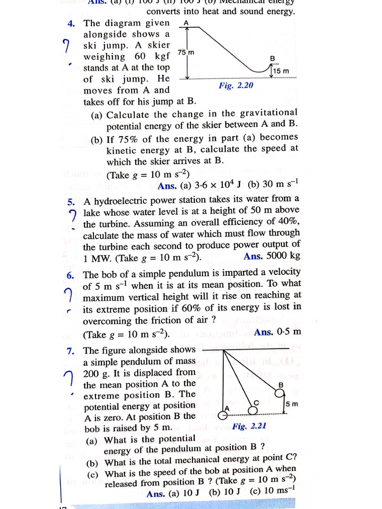 Physics Chapter 2 Numerical | PDF