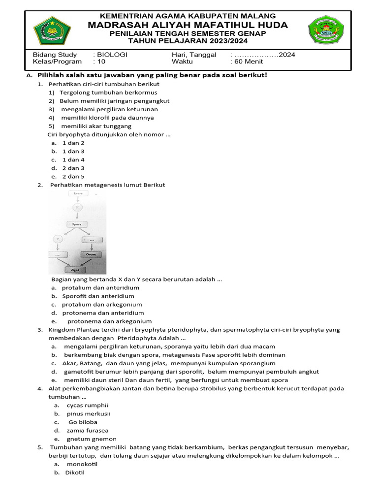 Biologi 10 PTS Genap 2024 | PDF | Kesehatan Holistik