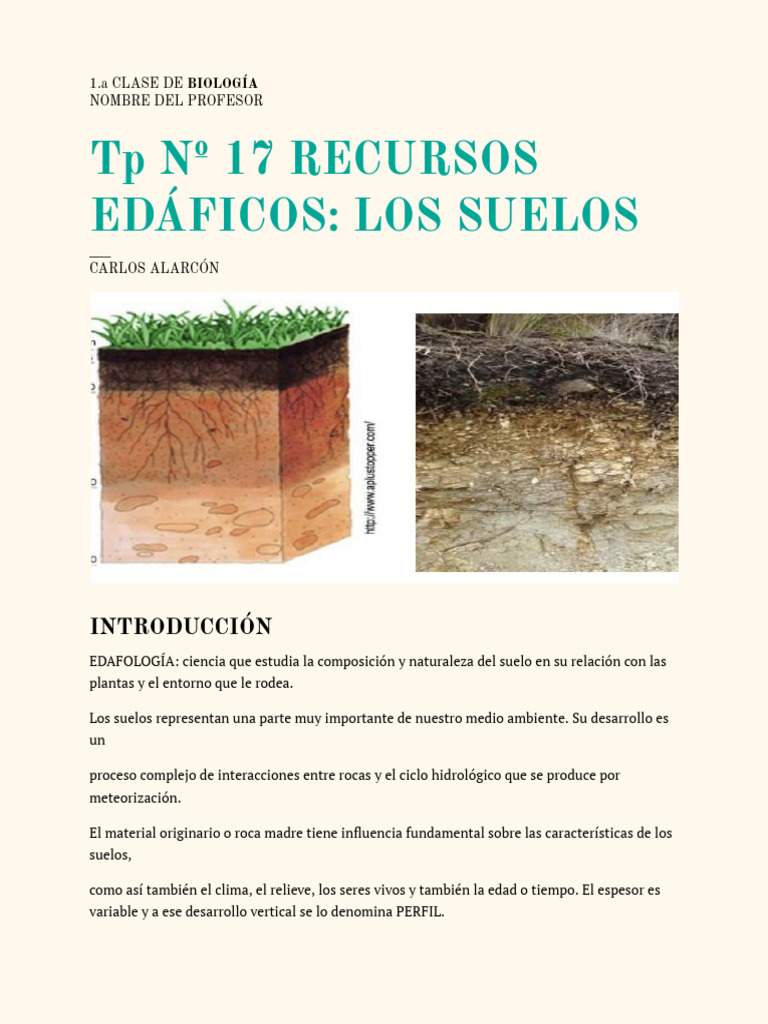 Características y Tipos de Suelos | PDF | Suelo | Roca (geología)