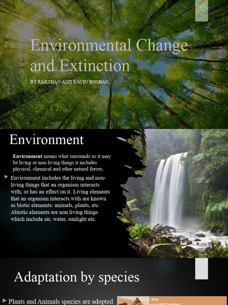 Environmental Change and Extinction | PDF | Endangered Species ...