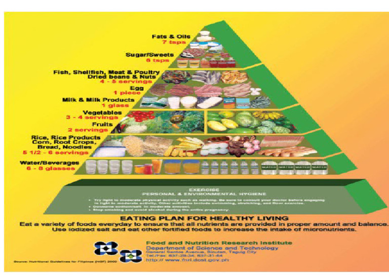 Food Pyramid | PDF