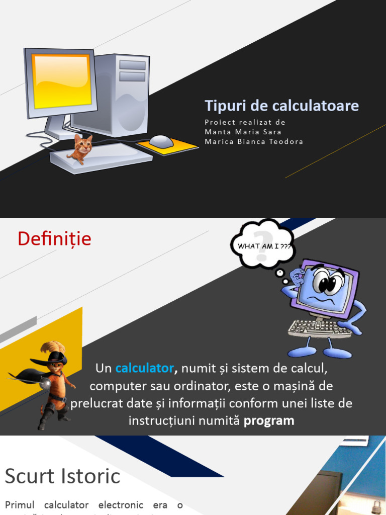 Tipuri de Calculatoare | PDF