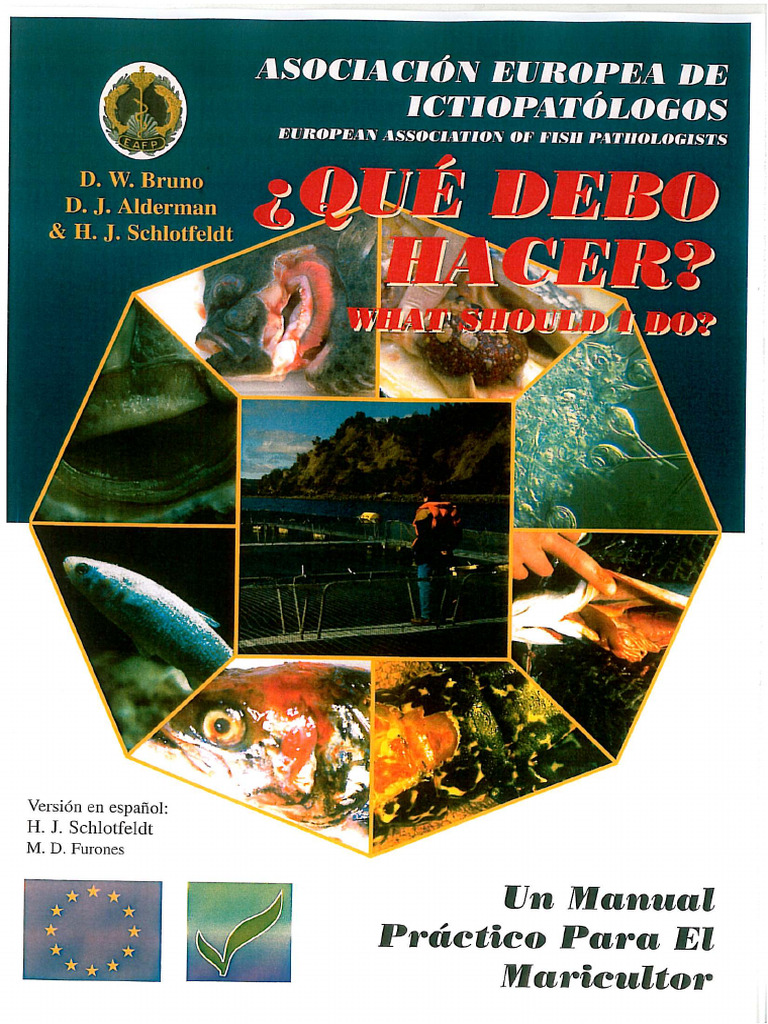 WSID Marine Edition Spanish | PDF