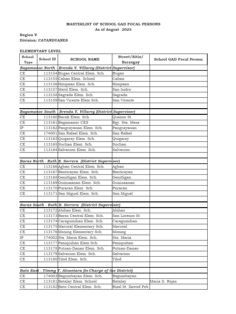 School GAD Focal Persons List | PDF