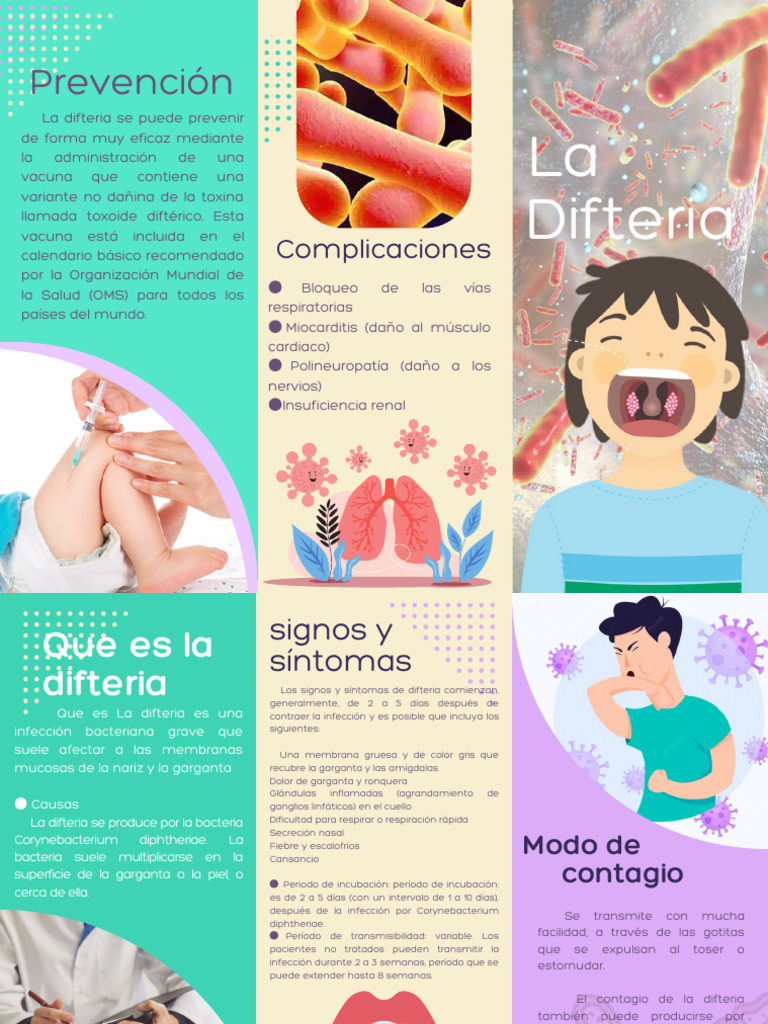 Triptico de la Difteria | PDF | Microbiología | Salud pública