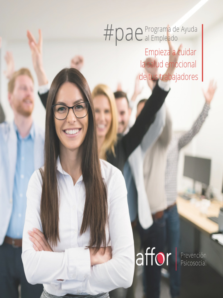 PAE-Affor-2020 | PDF | Sicología | Business