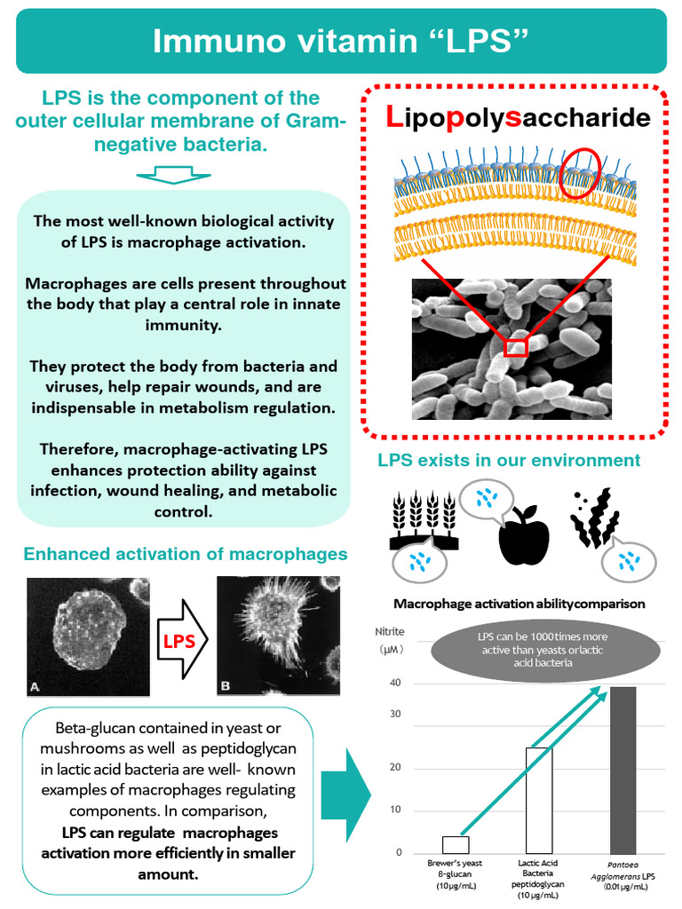Macrophage-Activating LPS for Animal Feed | PDF | Lipopolysaccharide ...