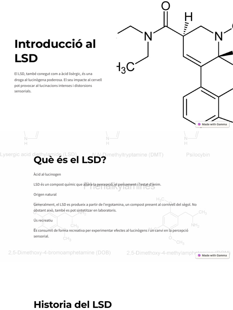Introduccio Al LSD | PDF