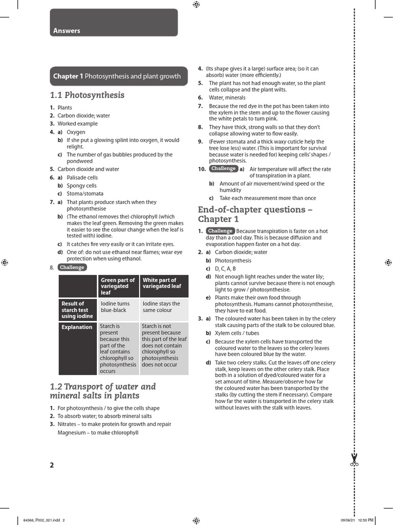 Stage 9 - Workbook - Answers | PDF | Atoms | Ion