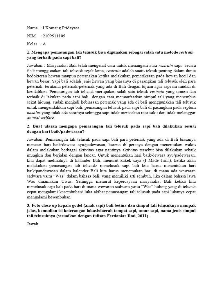 Tali Telusuk Sapi Bali: Metode Restrain Terbaik | PDF