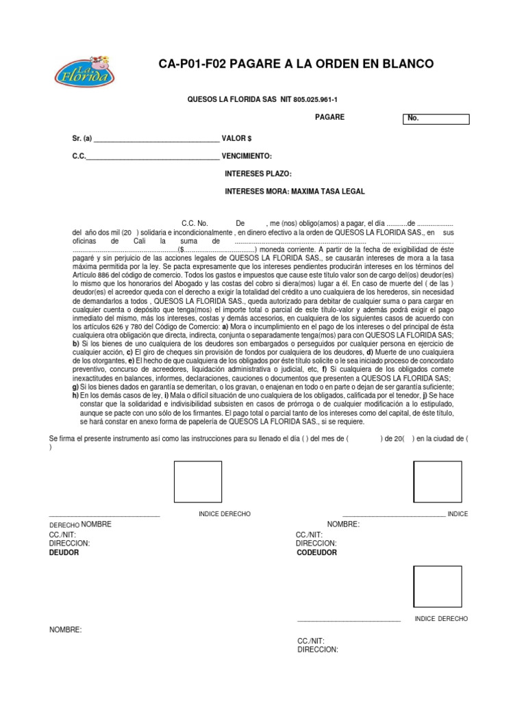 PAGARE Y CARTA DE INSTRUCCIONES | PDF | Pagos