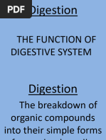 Digestive System Grade 8 Lecture | PDF | Digestion | Stomach
