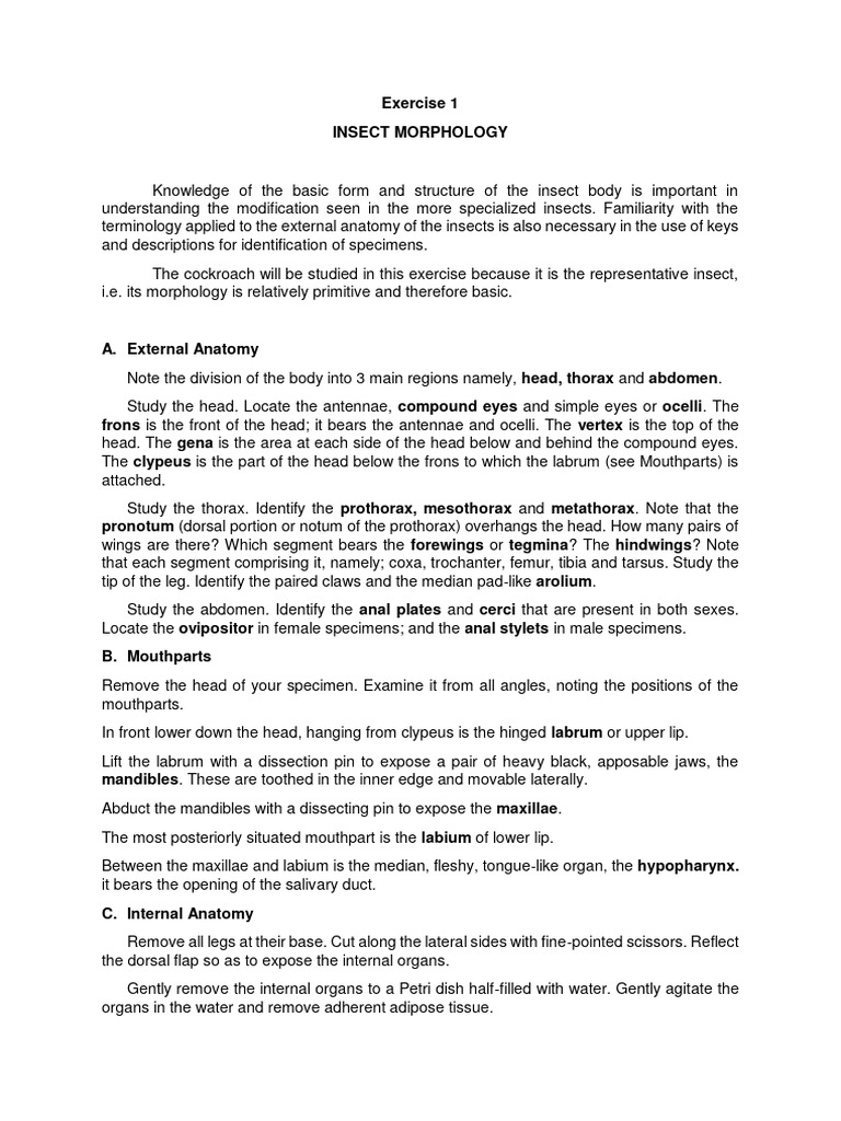 Exercise 1 Insect Morphology | PDF | Arthropodology | Insects