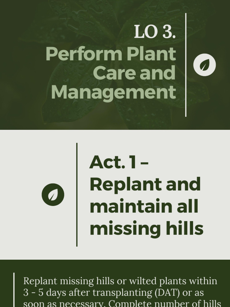 Plant Care and Management Practices | PDF | Pest (Organism) | Plant ...