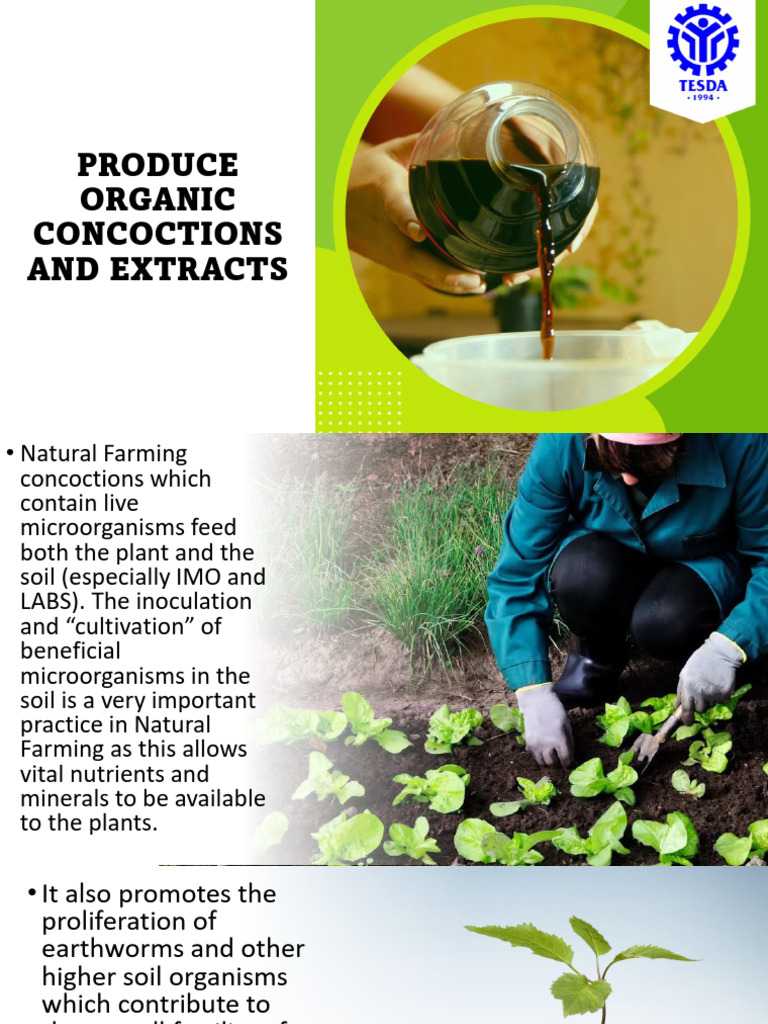 Produce Organic Concoctions and Extracts | PDF | Soil | Fermentation
