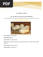 Broiler Production SBA Project Report | PDF | Broiler | Chicken