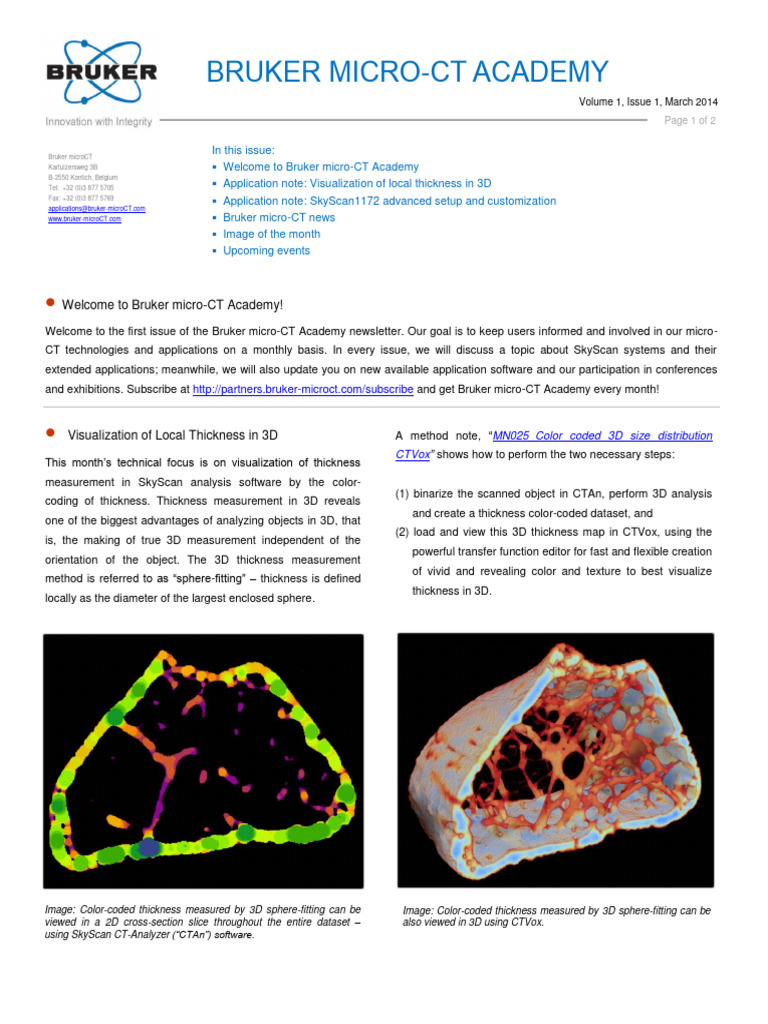Bruker Micro-CT Academy Insights | PDF | Porosity | Image Scanner