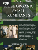 Organic Concoctions in Agriculture | PDF | Fermentation | Chemistry