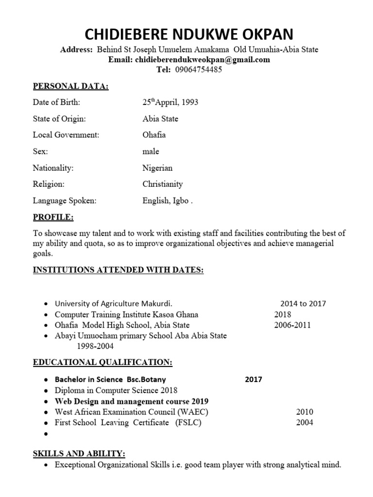 How To Write Professional CV | PDF