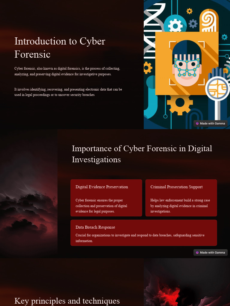Cyber Forensic: Key Concepts & Tools | PDF | Computer Forensics | Digital Forensics