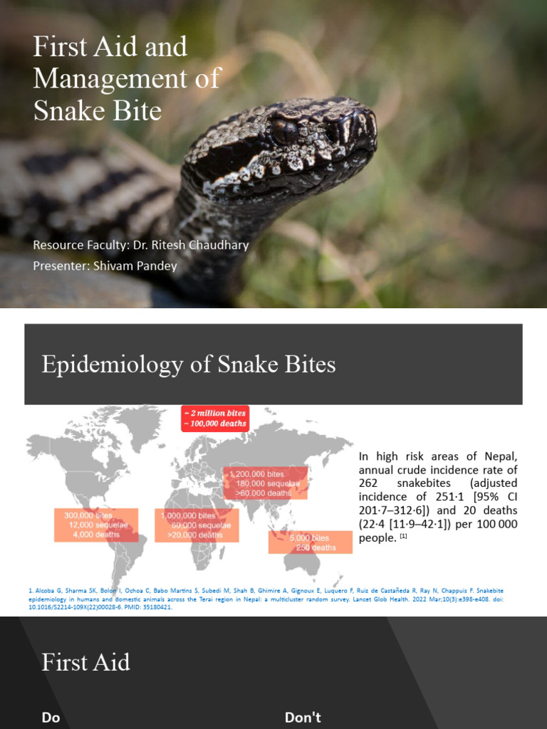 Snake Bite First Aid and Management Guide | PDF | Blood Plasma ...