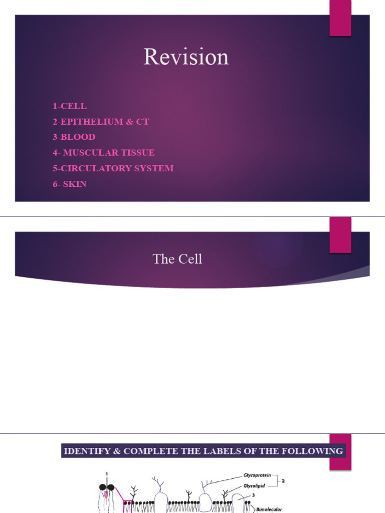 Medical Histology Study Guide | PDF | Epithelium | Anatomy