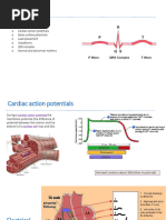 Understanding Left Anterior Fascicular Block | PDF | Circulatory System ...
