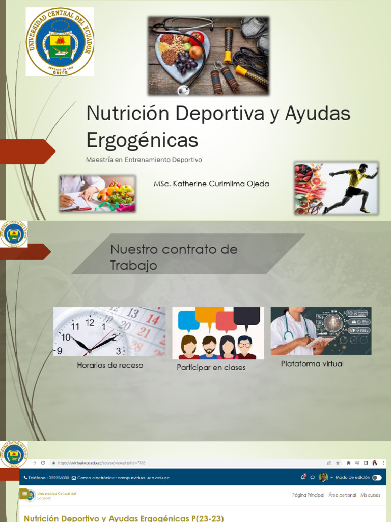 Nutrición Deportiva: Claves para el Rendimiento | PDF | Carbohidratos | Lípido