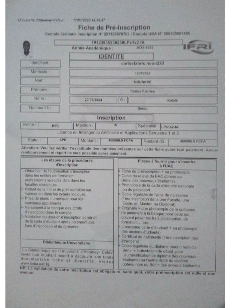 Document WPS Office | PDF