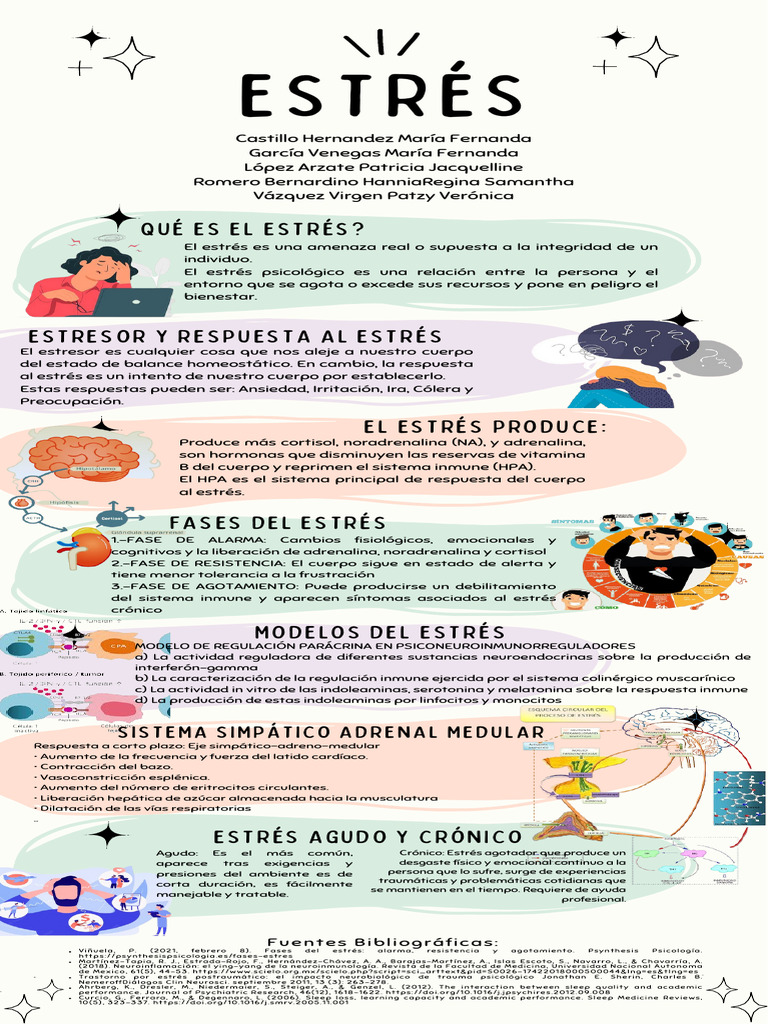 Fases y tipos del estrés: guía visual | PDF | Estrés (biología ...