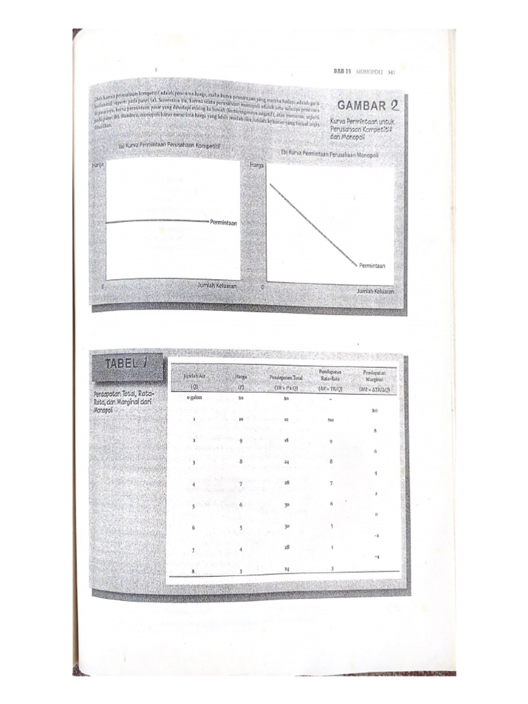 Bab 15 Monopoli 341 | PDF