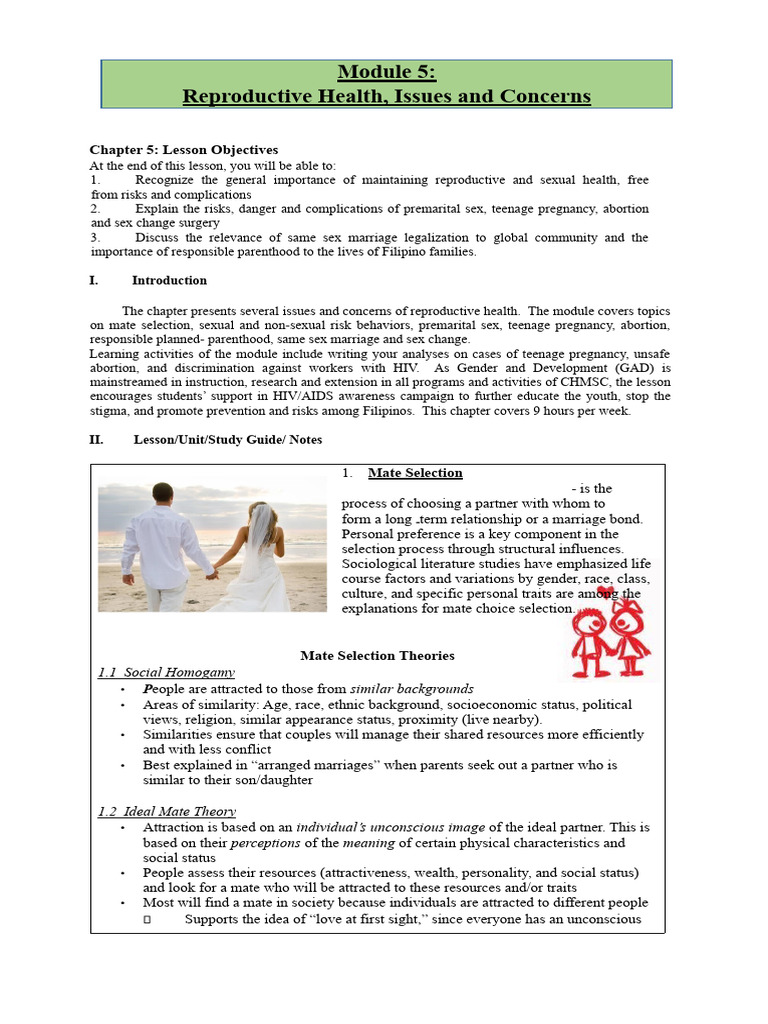 Reproductive Health Issues Concerns | PDF