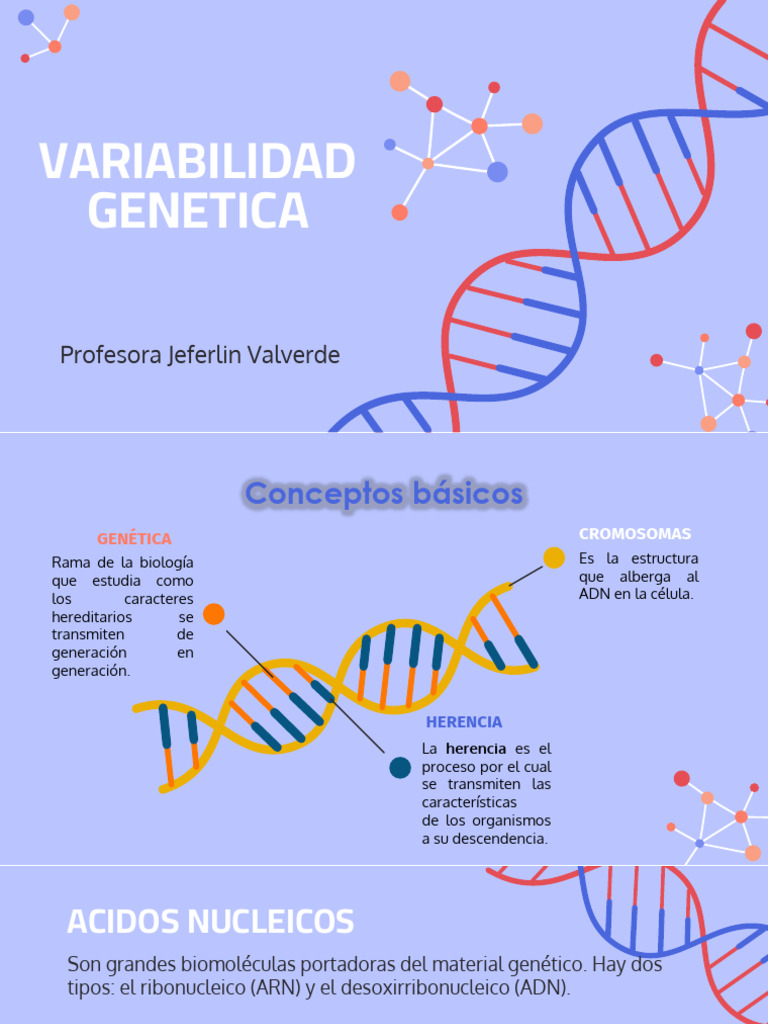 Ppt 3 Variabilidad genetica | PDF | Adn | Rna