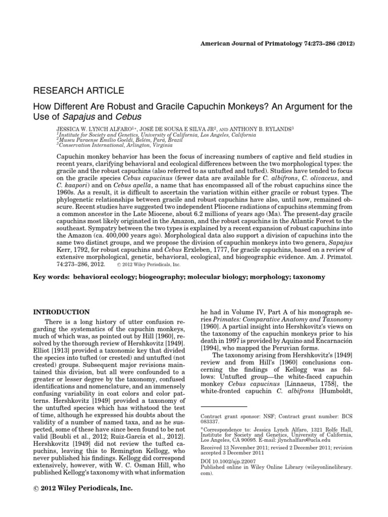 Robust vs. Gracile Capuchin Monkeys | PDF