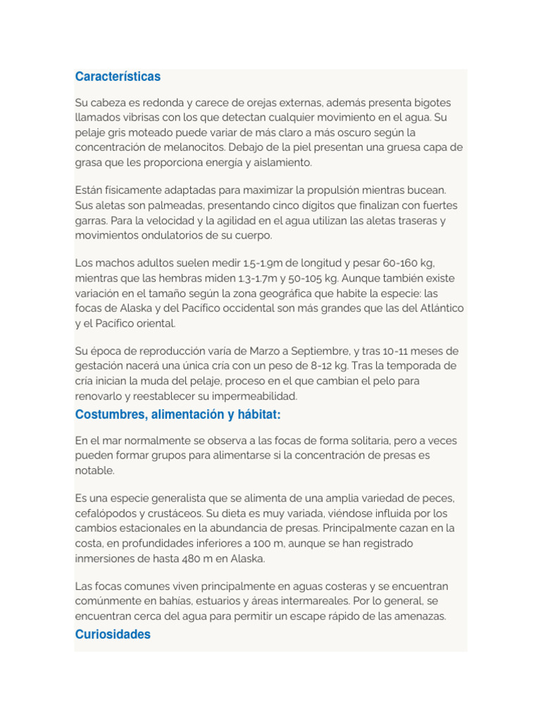 Características de las focas comunes | PDF | Pinnípedo | Zoología