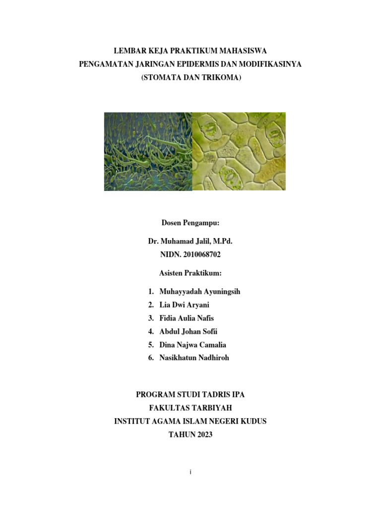 LKPM Jaringan Epidermis Dan Modifikasinya (Stomata Dan Trikoma) | PDF