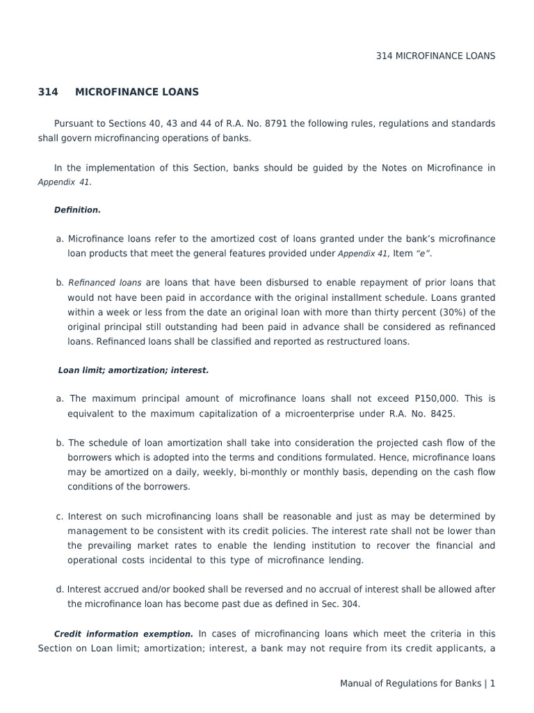 314 Microfinance Loans | PDF