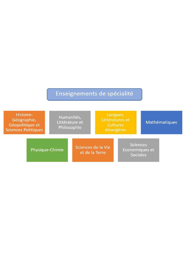Enseignements Spé 1ere 1024x526 | PDF