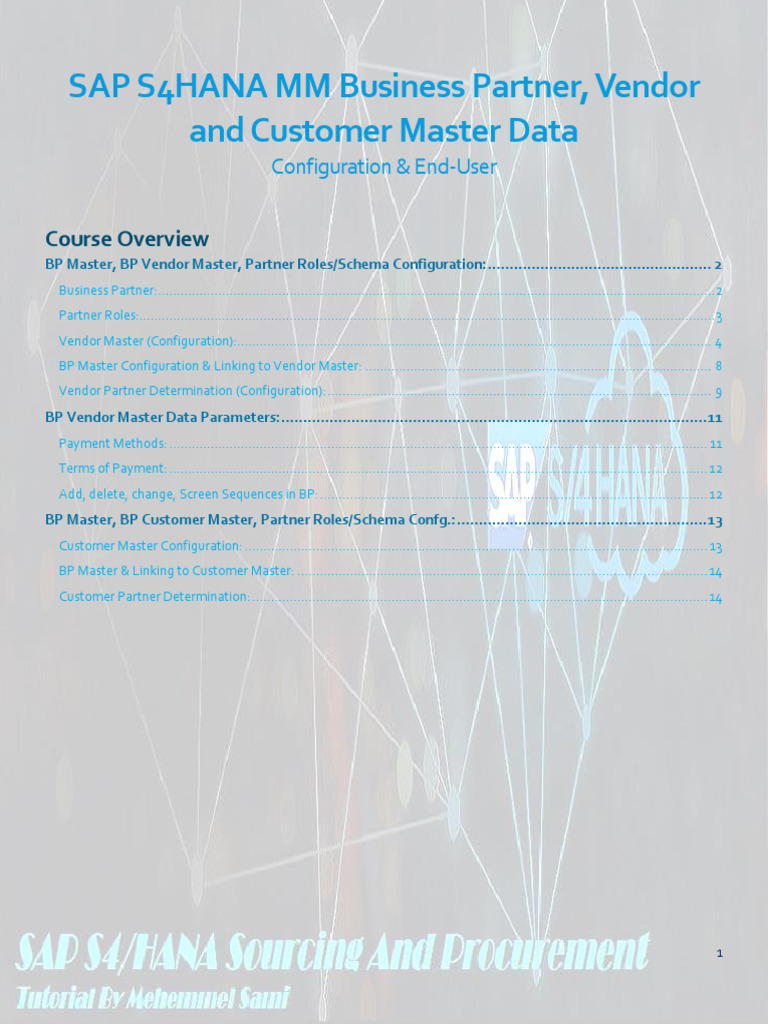 Business Partner Vendor and Customer Master Data 1696595173 | Download Free PDF | Invoice ...