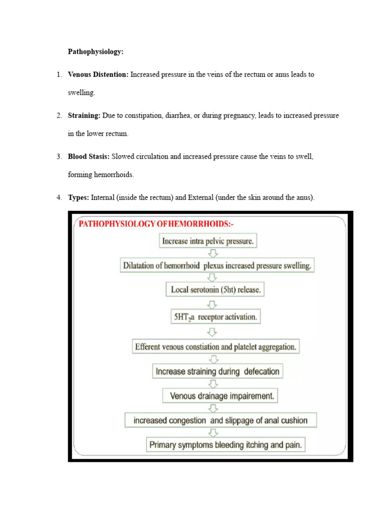 Hemorrhoids | Download Free PDF | Hemorrhoid | Constipation