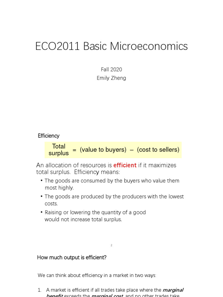 ECO2011 Basic Microeconomics - Lecture 10 | PDF