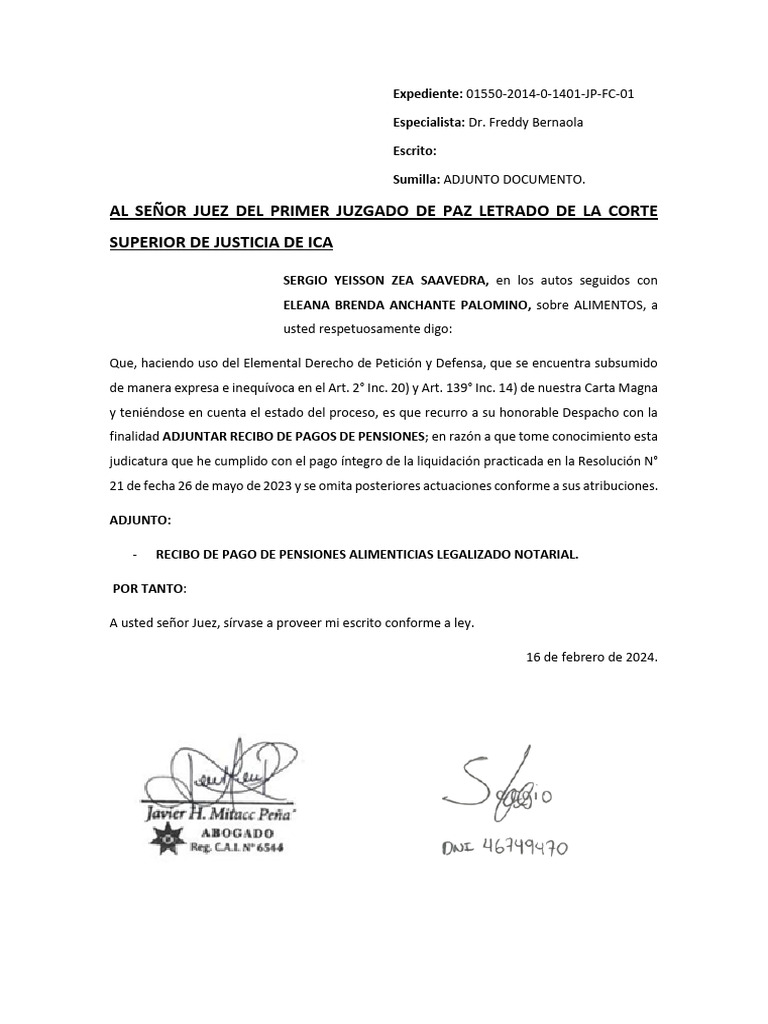 ADJUNTO DOCUMENTOS SERGIO | PDF