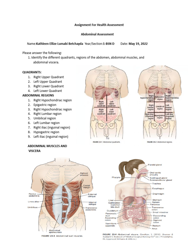 Assignment For Abdominal Assessment | PDF | Abdomen | Anatomy