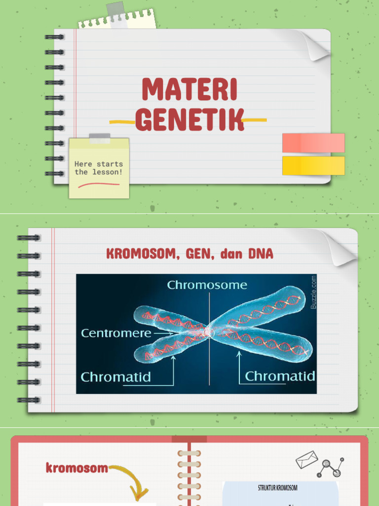 Struktur Kromosom dan Sintesis Protein | PDF