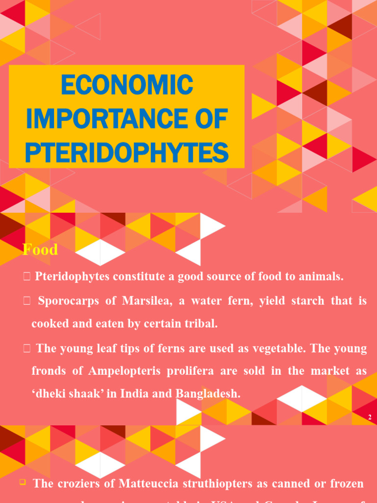 Economic Importance of Pteridophytes | PDF | Fern | Plants