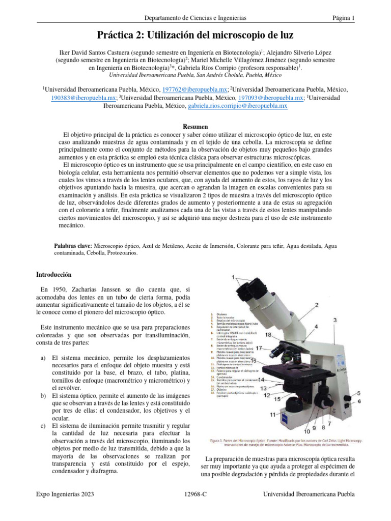 Práctica 2 Lab Bio Celular | PDF | Microscopio | Biología Celular)