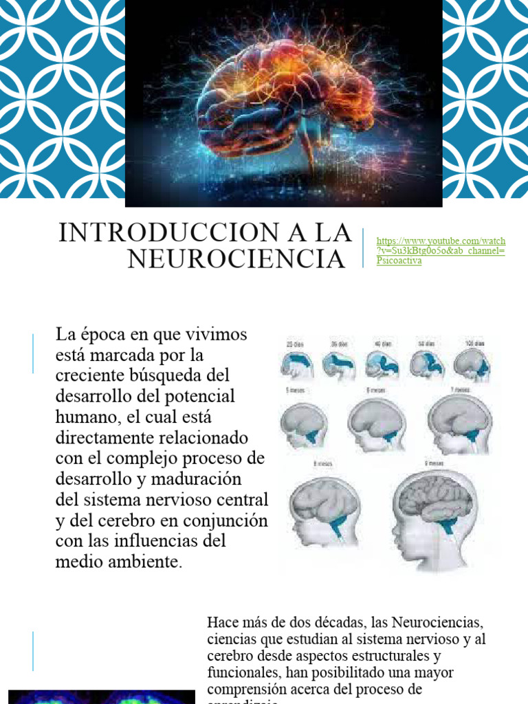 1.- INTRODUCCION A LA NEUROCIENCIA | PDF | Cerebro | Las emociones