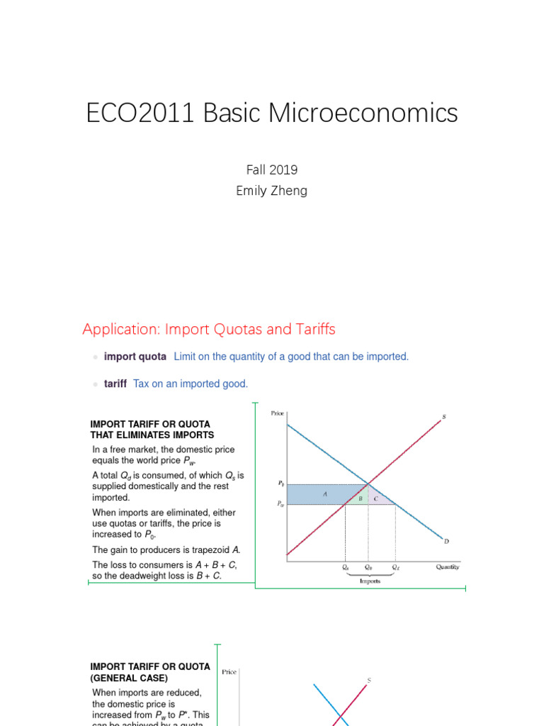 ECO2011 Basic Microeconomics - Lecture 12 | PDF | Tax Incidence | Taxes